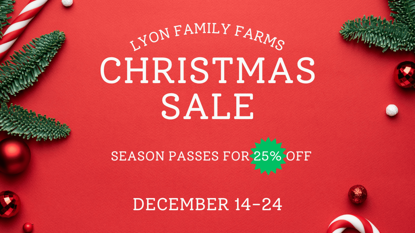 Lyon Family Farms | Lyons Pumpkin Patch & Corn Maze In Alabama